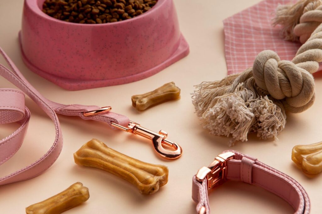Enhance Every Moment: Types of Premium Dog Accessories for Everyday Use ...